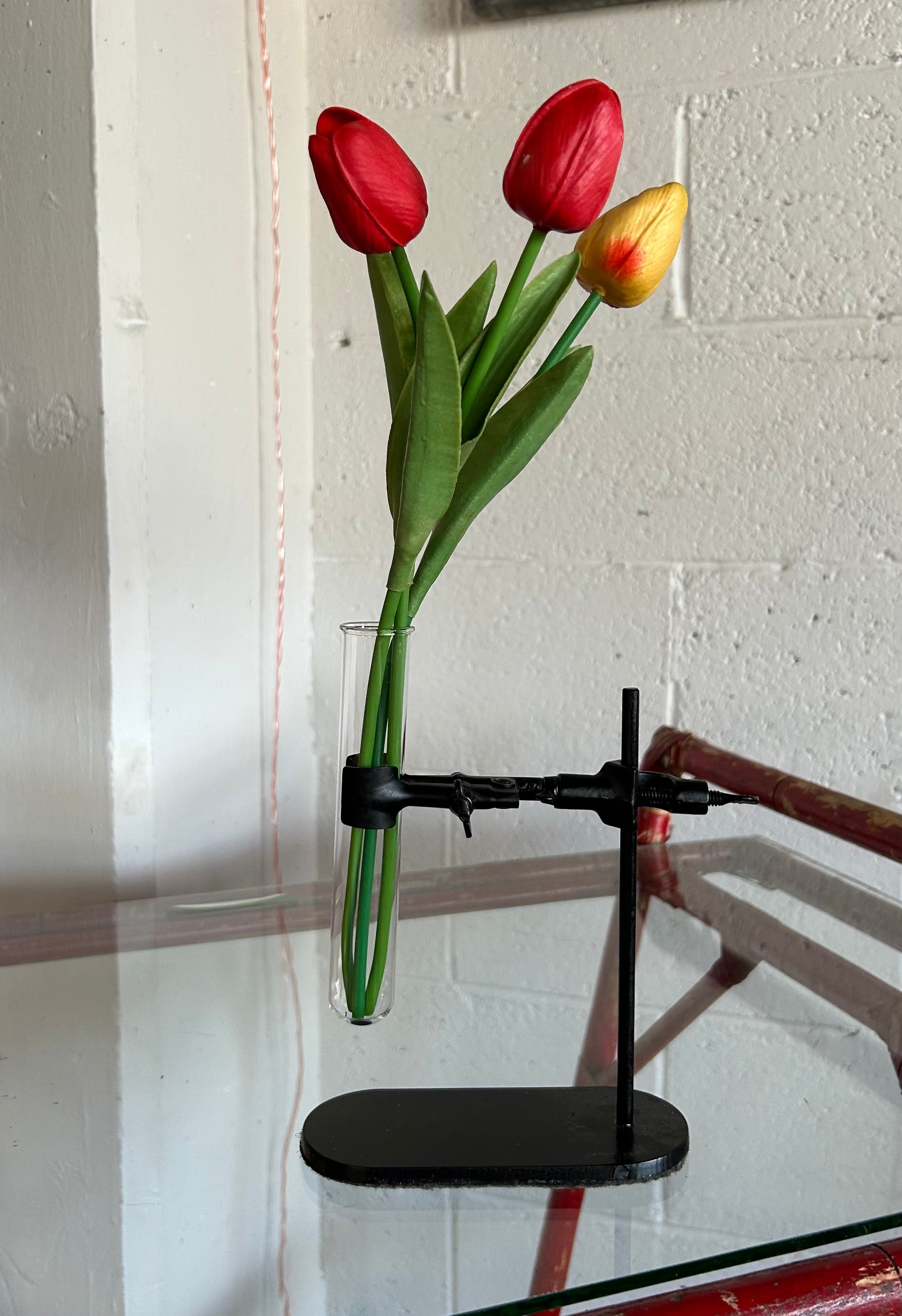 Test Tube Clamp Bud Vase on Steel Stand – Antiquities Warehouse of ...